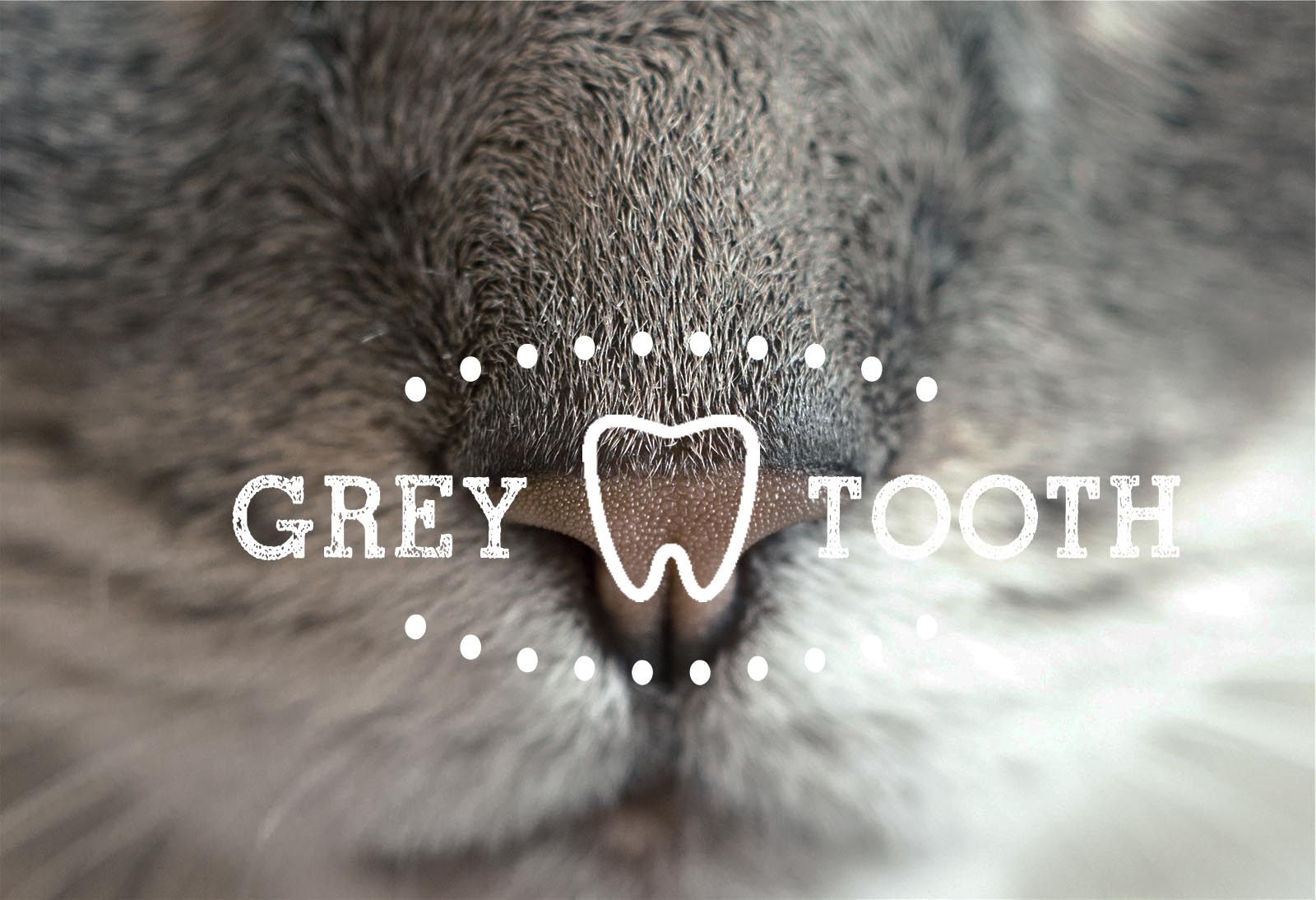 Surrey Pediatric Dentist - Playtime Pediatric Dentistry - Grey Tooth